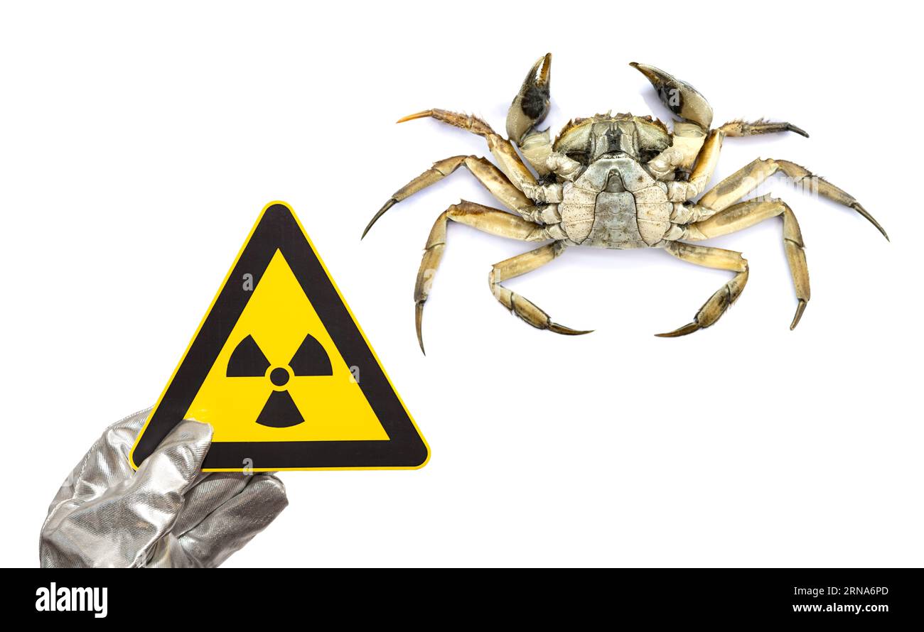 nuclear radiation warning sign and a dead crab concept of unsafe ...
