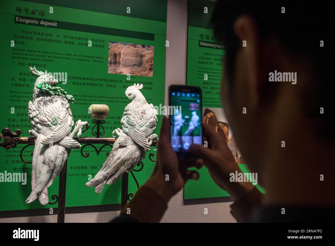 A visitor takes photos of a pair of exhibits at Ruili jewelry and jade ...