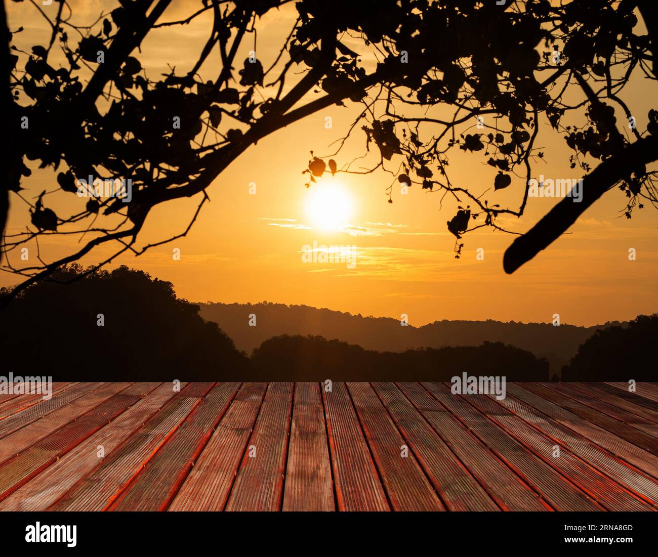 Beautiful wood floors and background, sky, sunset through the branches ...
