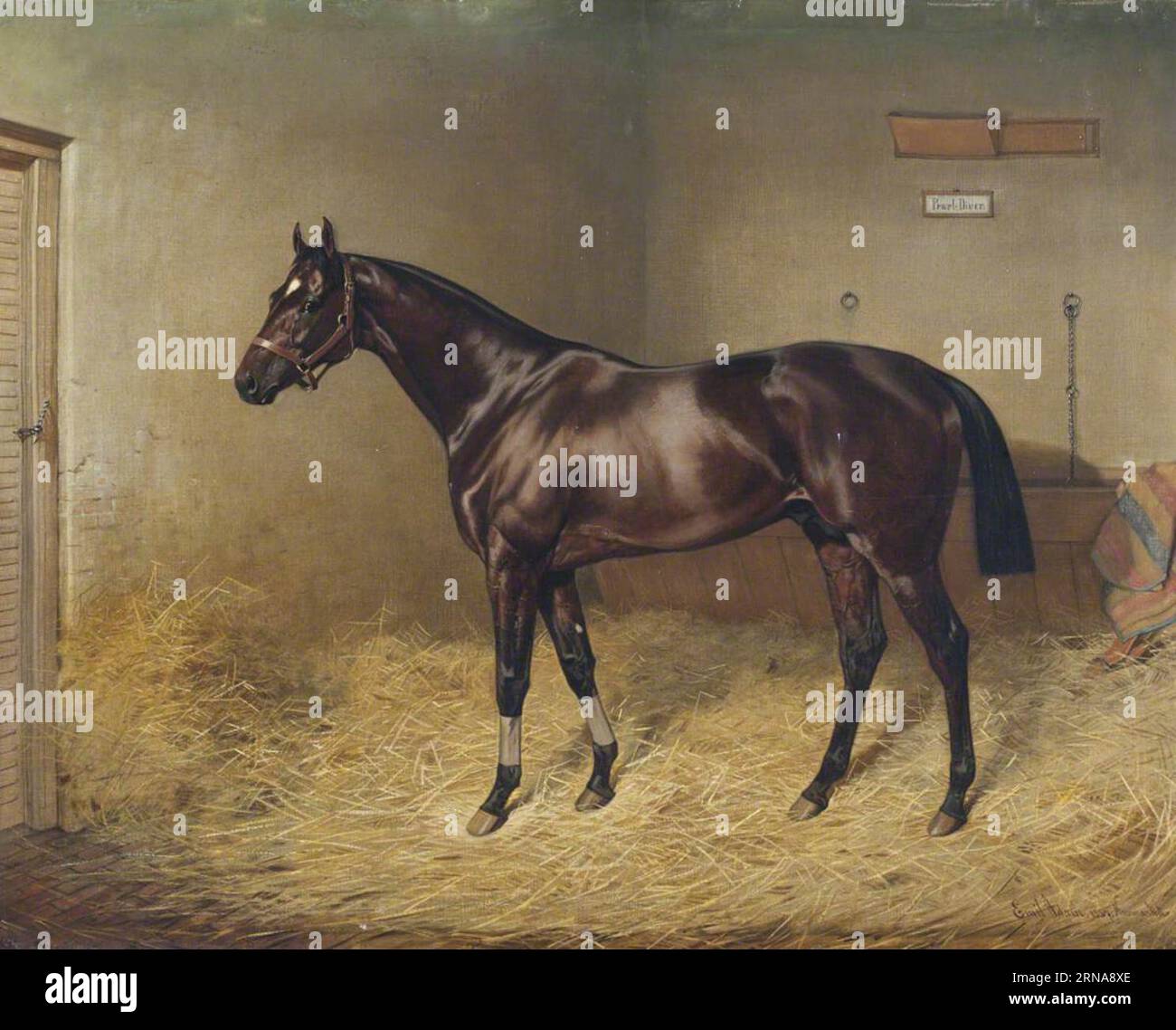 Raceshorses hi-res stock photography and images - Alamy