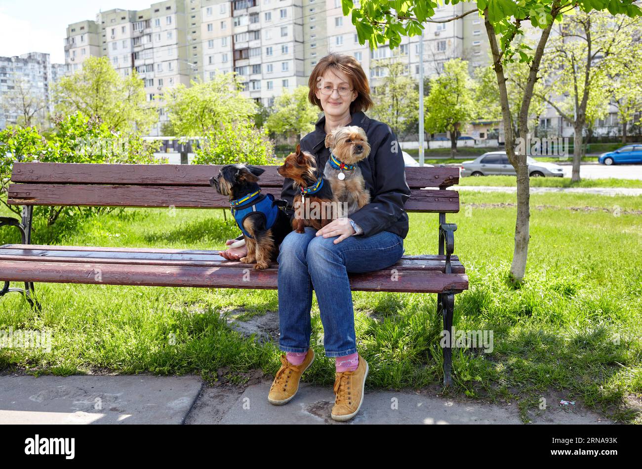 Owner with three dogs sitting on a bench in the summer city park ...