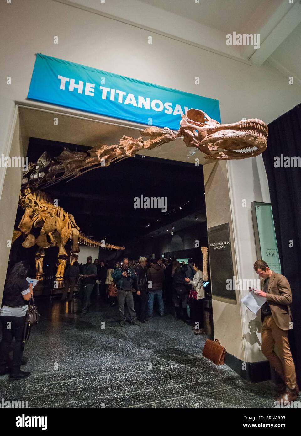 (160114) -- NEW YORK, Jan. 14, 2016 -- People visit the Titanosaur ...