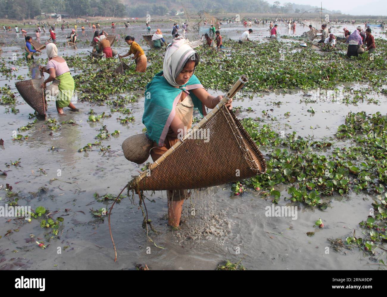 GUWAHATI, -- Villagers participate in a community fishing activity ...