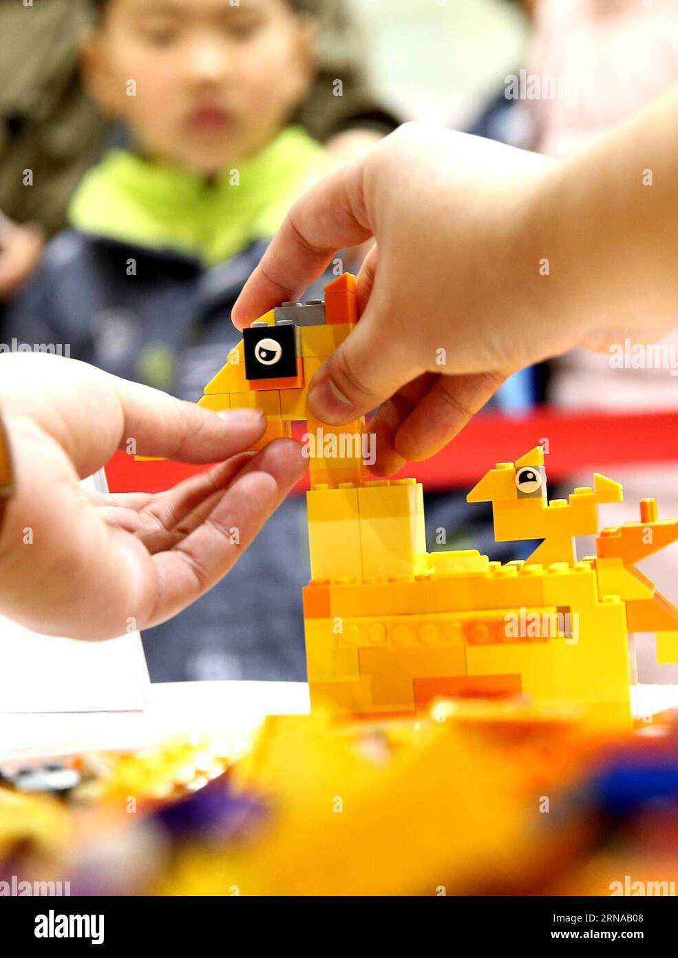 A participant builds his model in the LEGO Master Model Builder ...