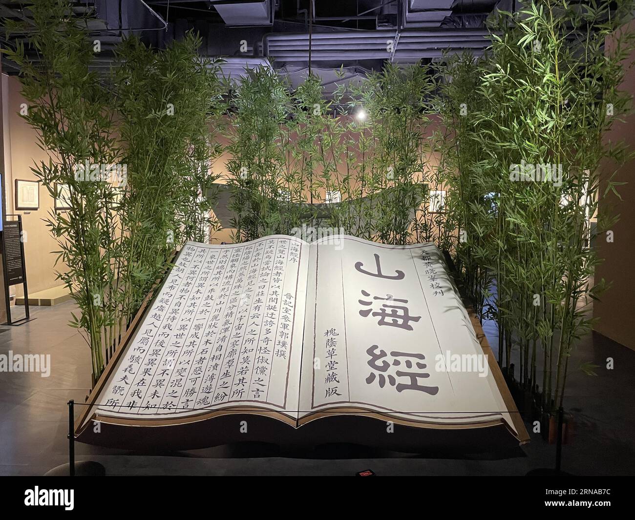 Visit an immersive art exhibition on "Shanhaijing" or "Classic of ...