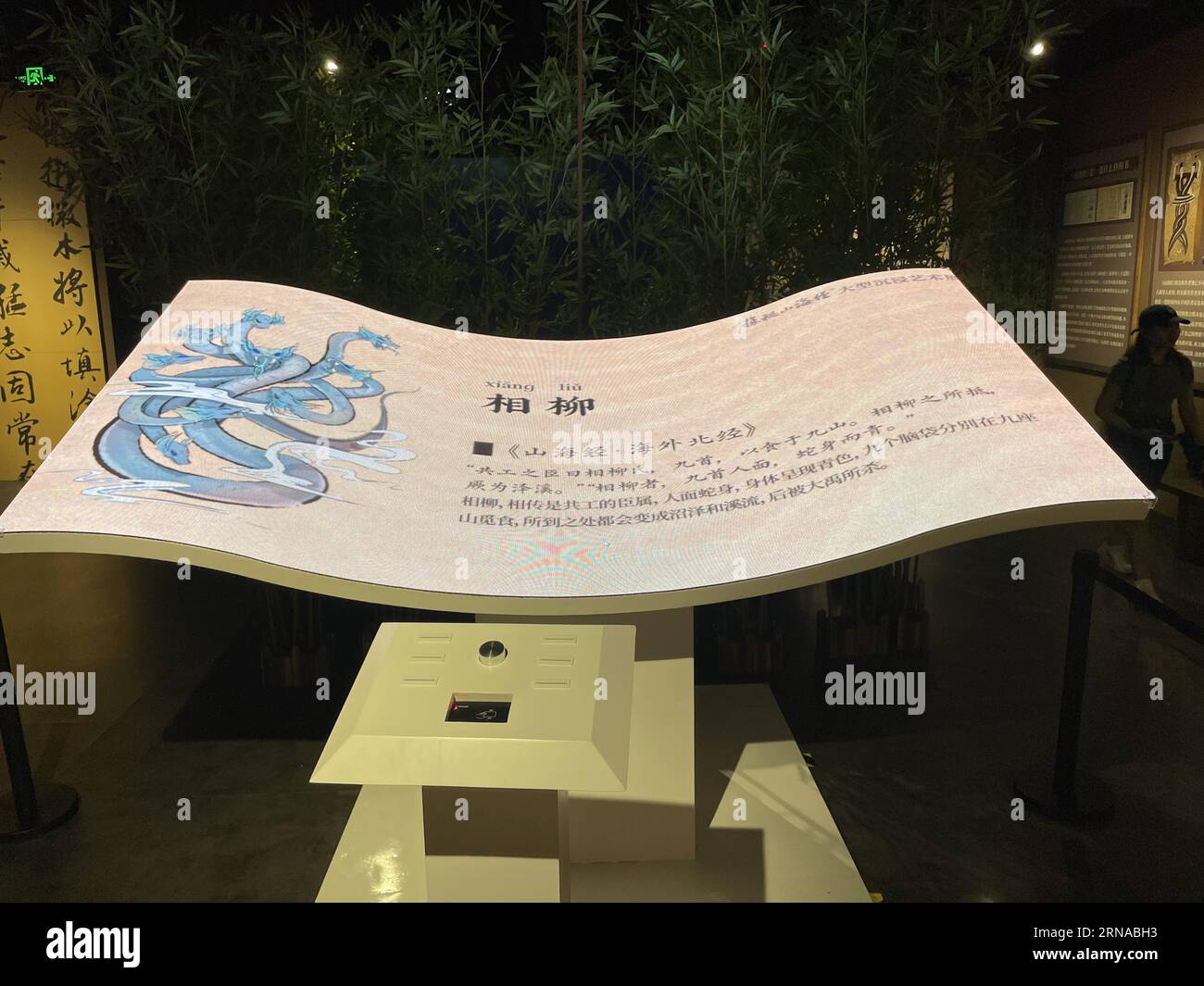 Visit an immersive art exhibition on "Shanhaijing" or "Classic of Mountains and Seas" in ...