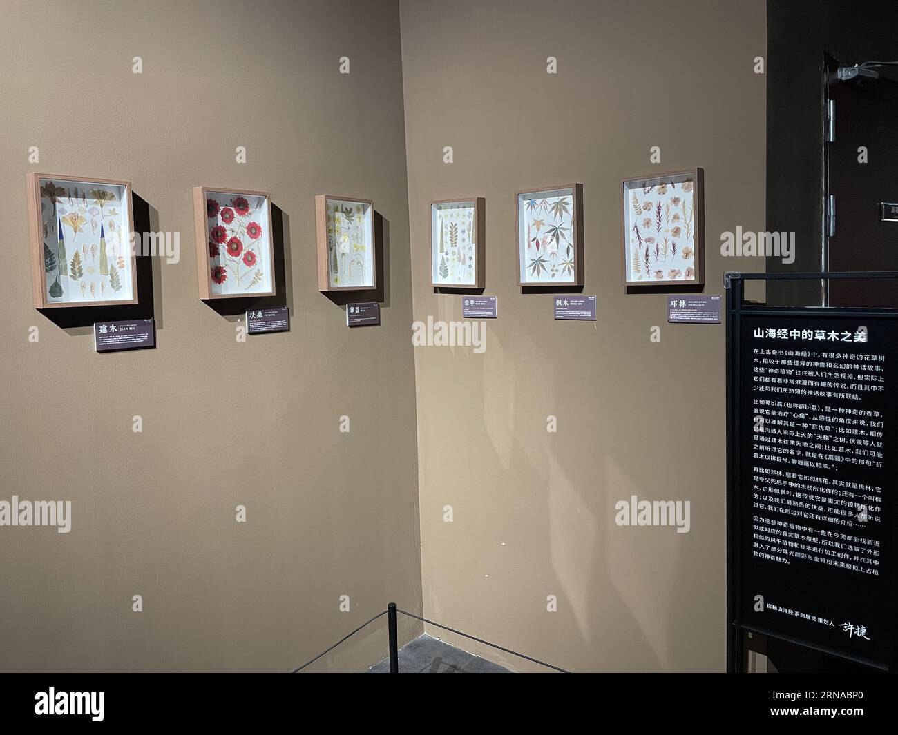 Visit an immersive art exhibition on "Shanhaijing" or "Classic of ...