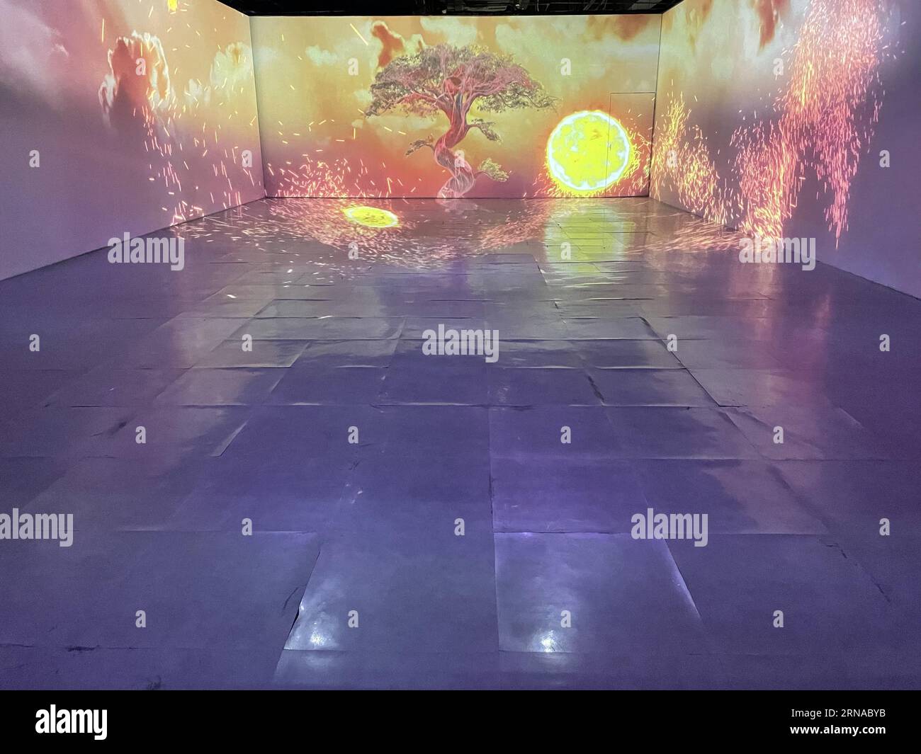 Visit an immersive art exhibition on "Shanhaijing" or "Classic of ...
