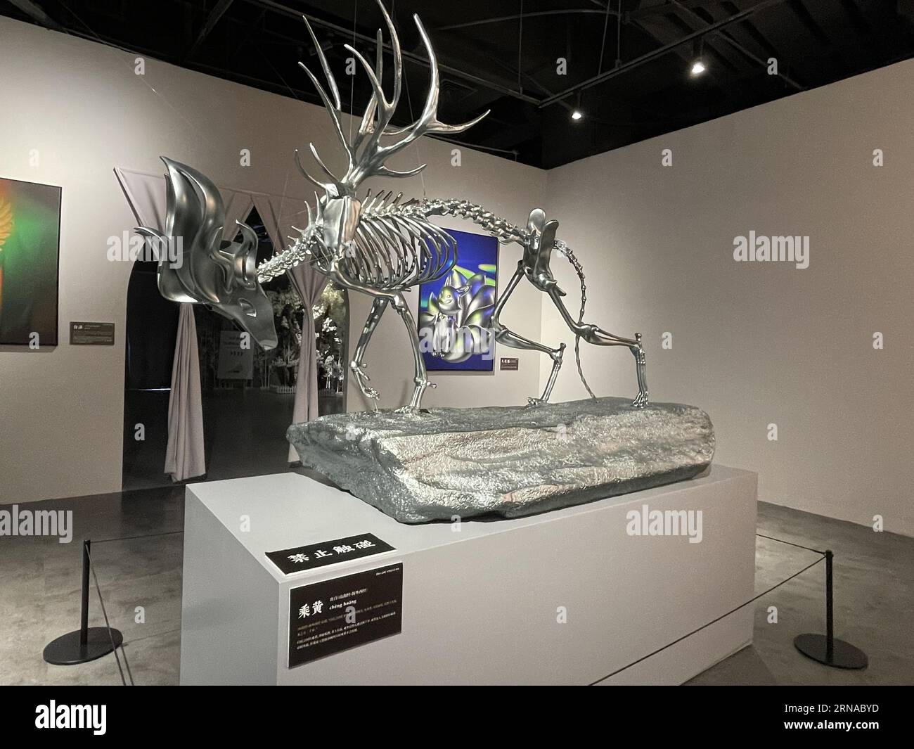 Visit an immersive art exhibition on "Shanhaijing" or "Classic of ...
