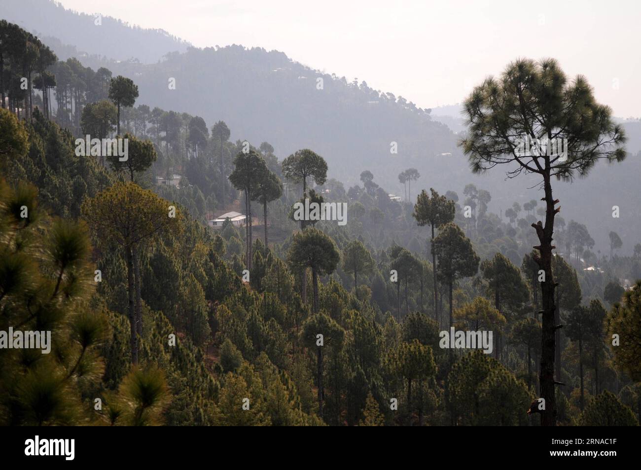 Murree pakistan hi-res stock photography and images - Alamy