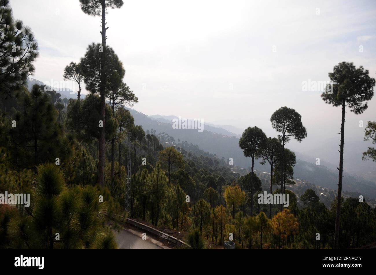 Murree pakistan hi-res stock photography and images - Alamy