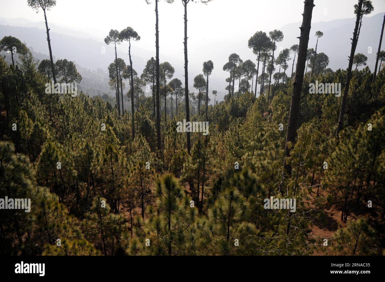 Murree pakistan hi-res stock photography and images - Alamy