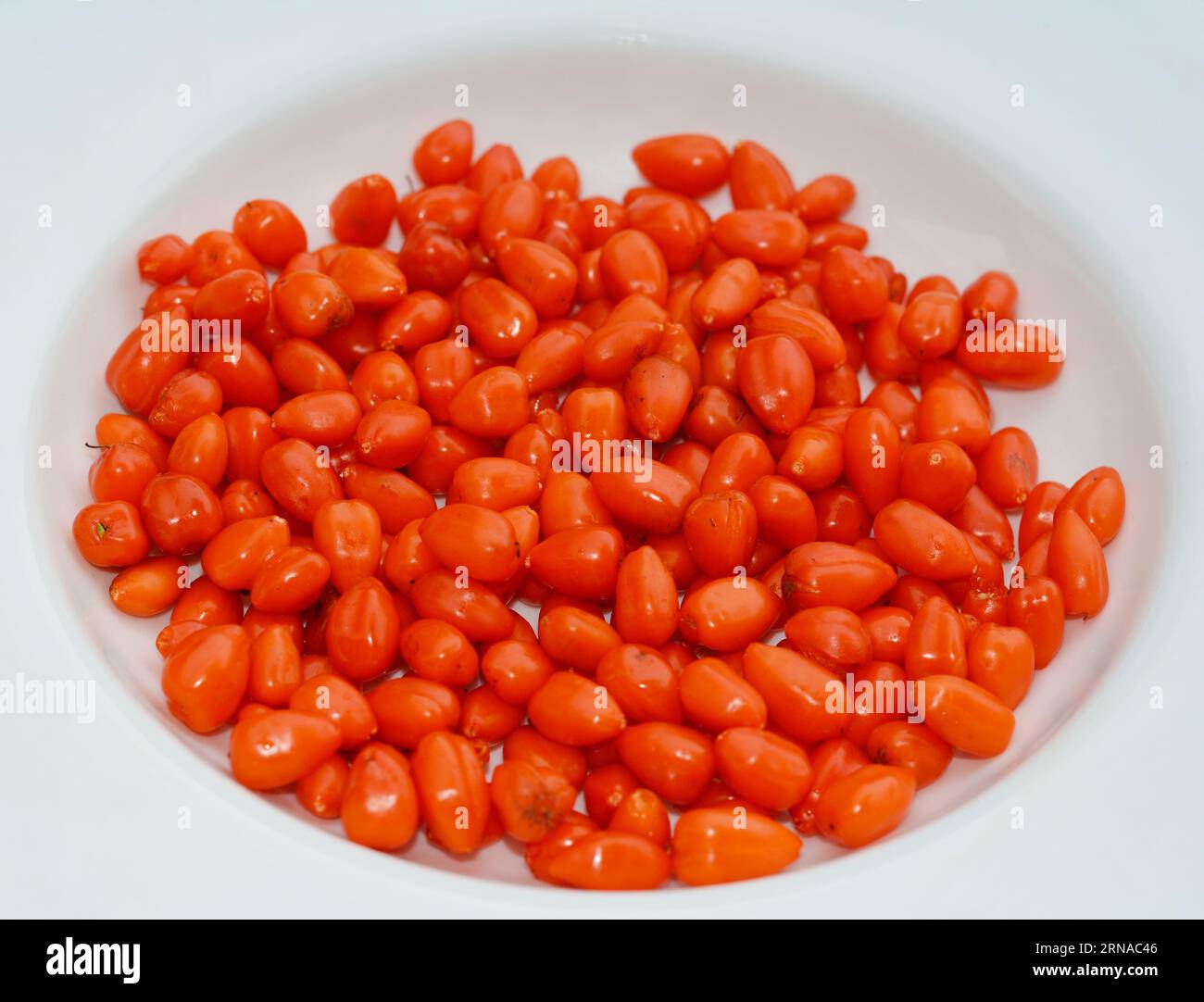 Ripe orange goji berries on the plate. Goji, goji berry, or wolfberrys ...