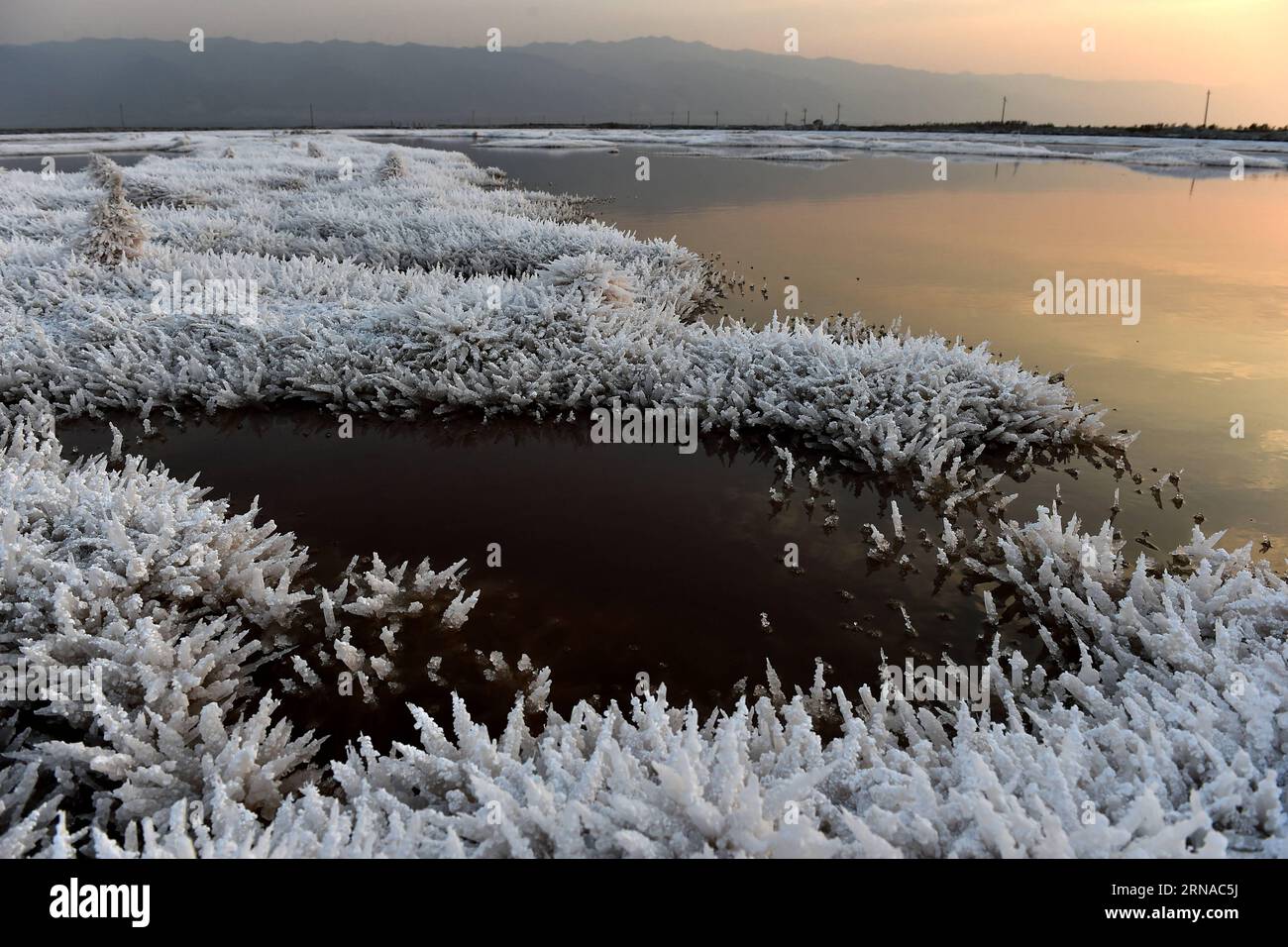 Sodium sulphate hi-res stock photography and images - Alamy