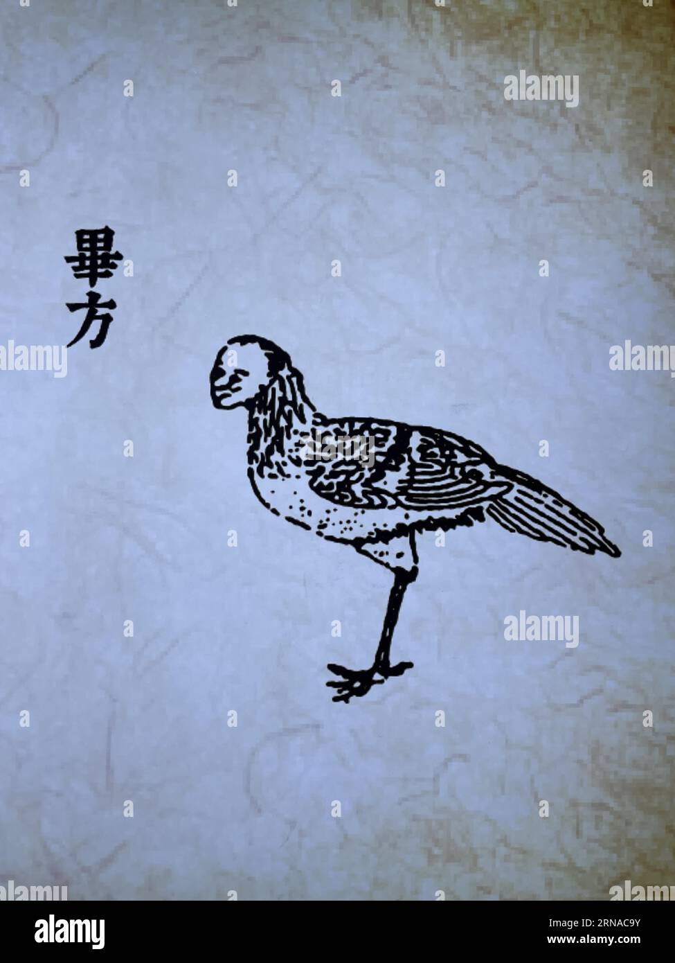 Visit an immersive art exhibition on "Shanhaijing" or "Classic of ...