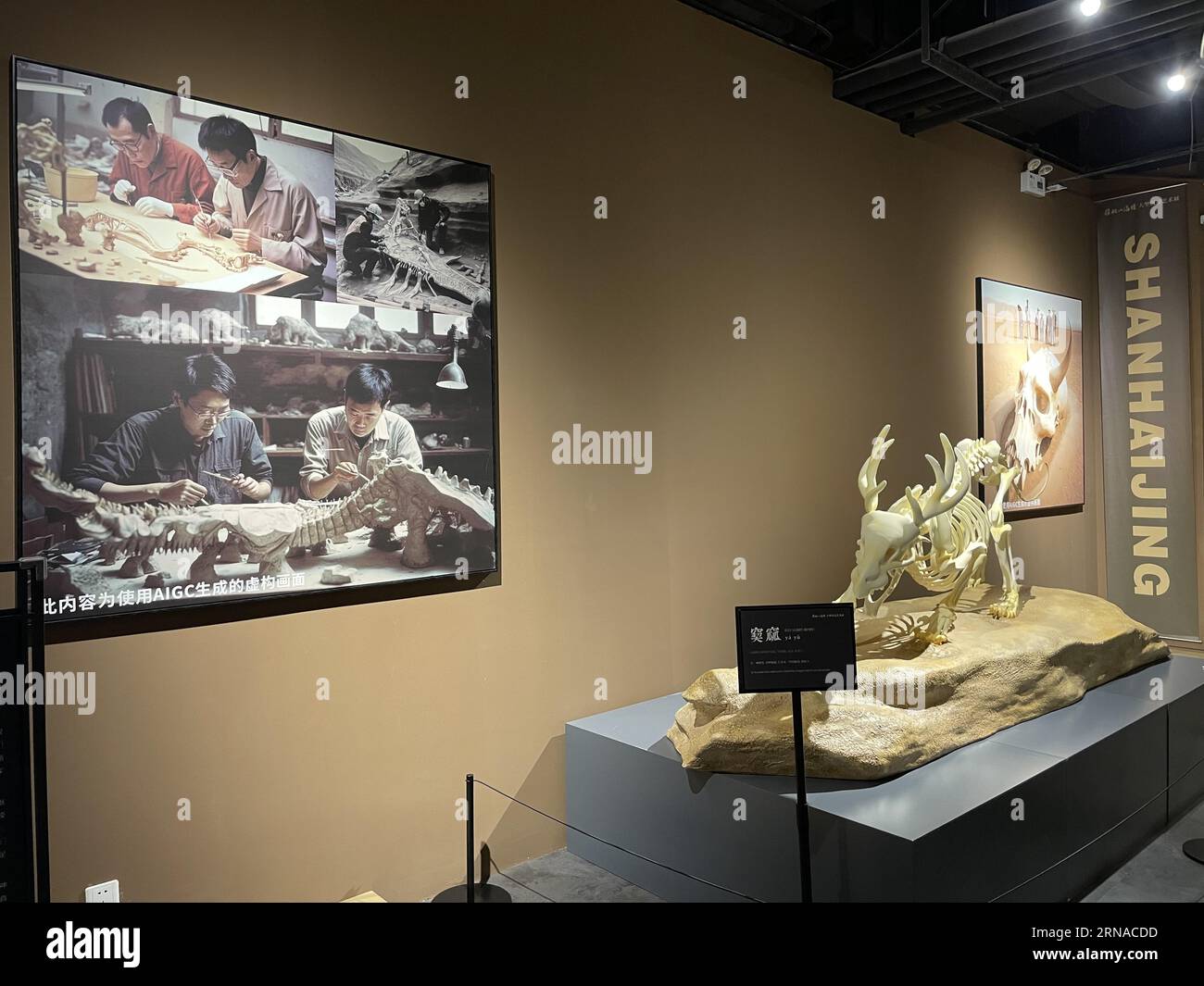 Visit an immersive art exhibition on "Shanhaijing" or "Classic of ...