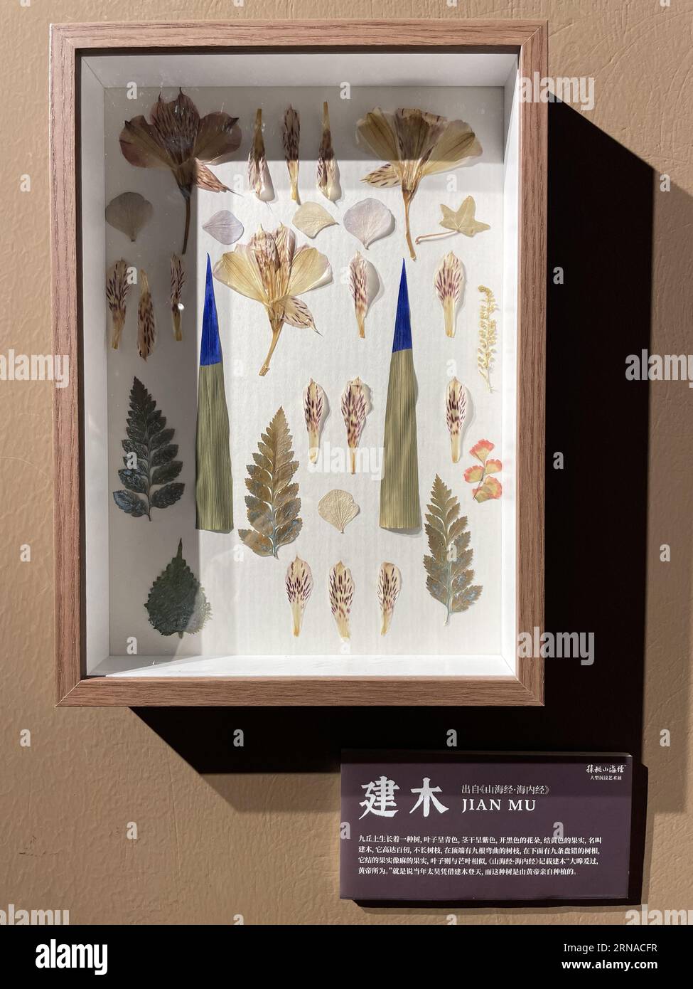 Visit an immersive art exhibition on "Shanhaijing" or "Classic of ...