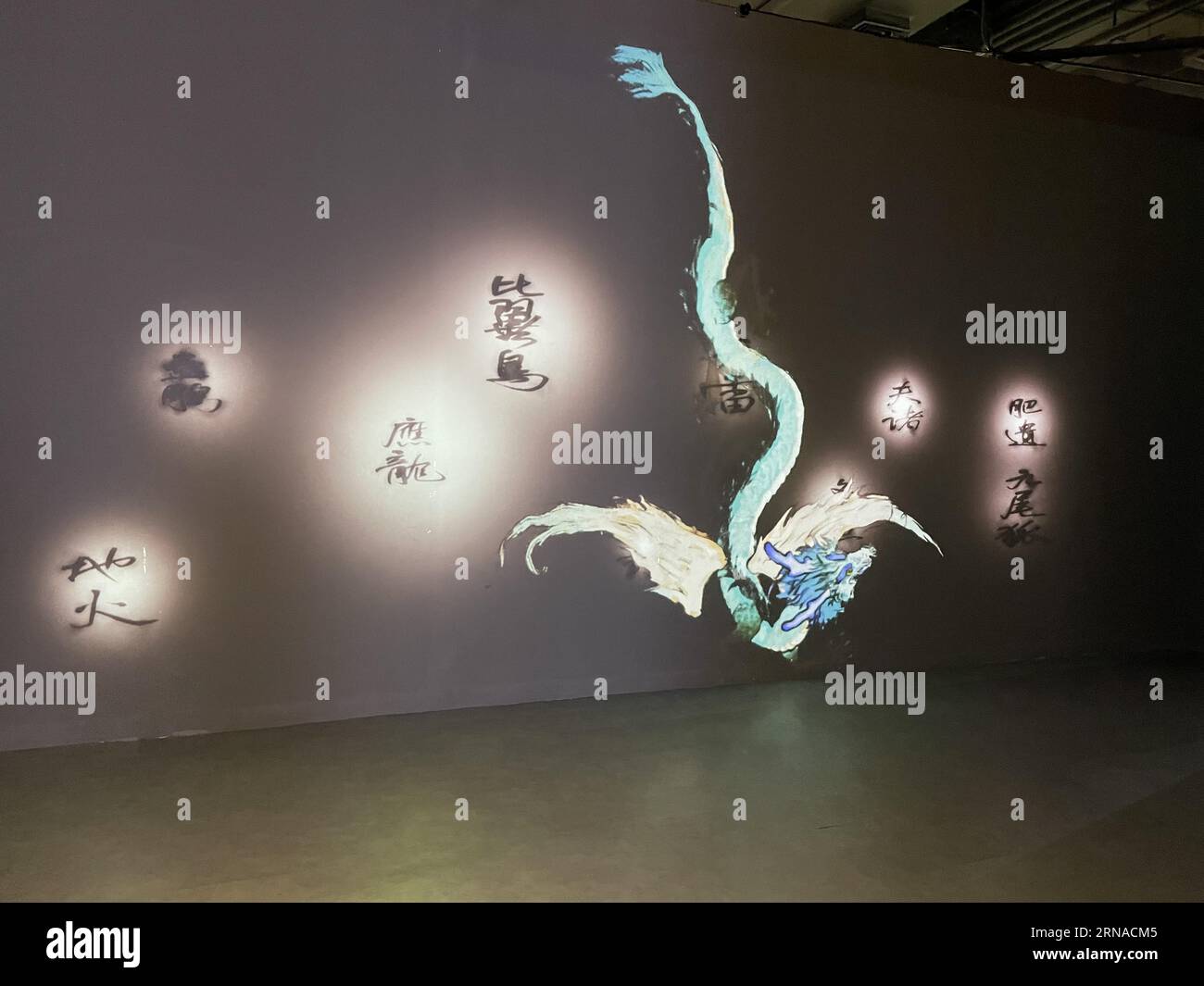 Visit an immersive art exhibition on "Shanhaijing" or "Classic of ...