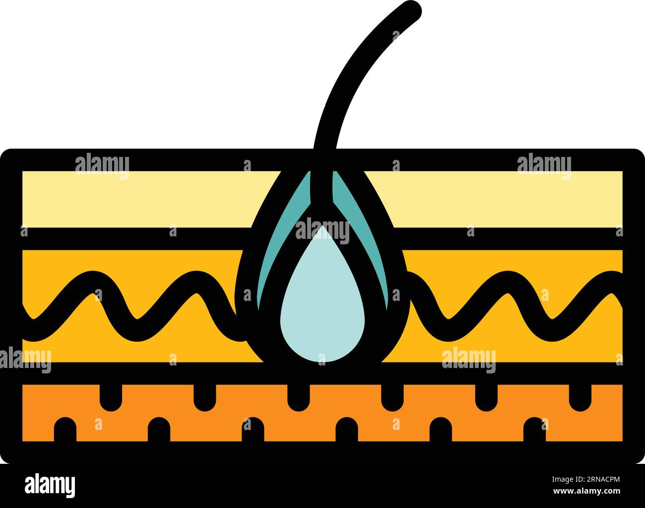 Skin hair icon outline vector. Dermatology doctor. Clinic health color ...