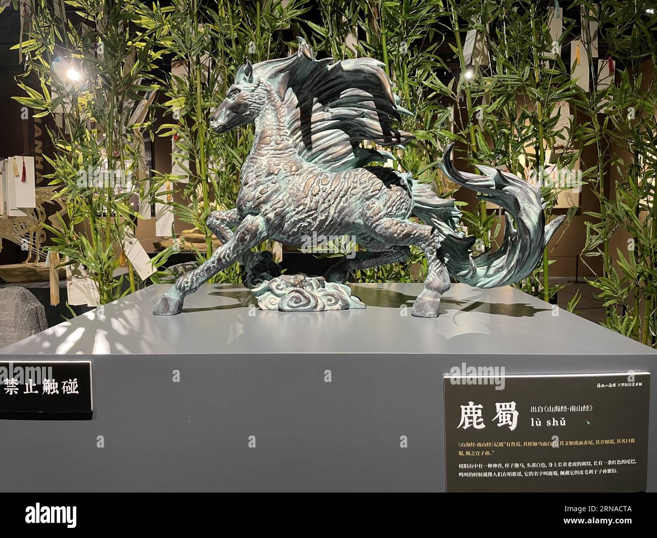Visit an immersive art exhibition on "Shanhaijing" or "Classic of ...