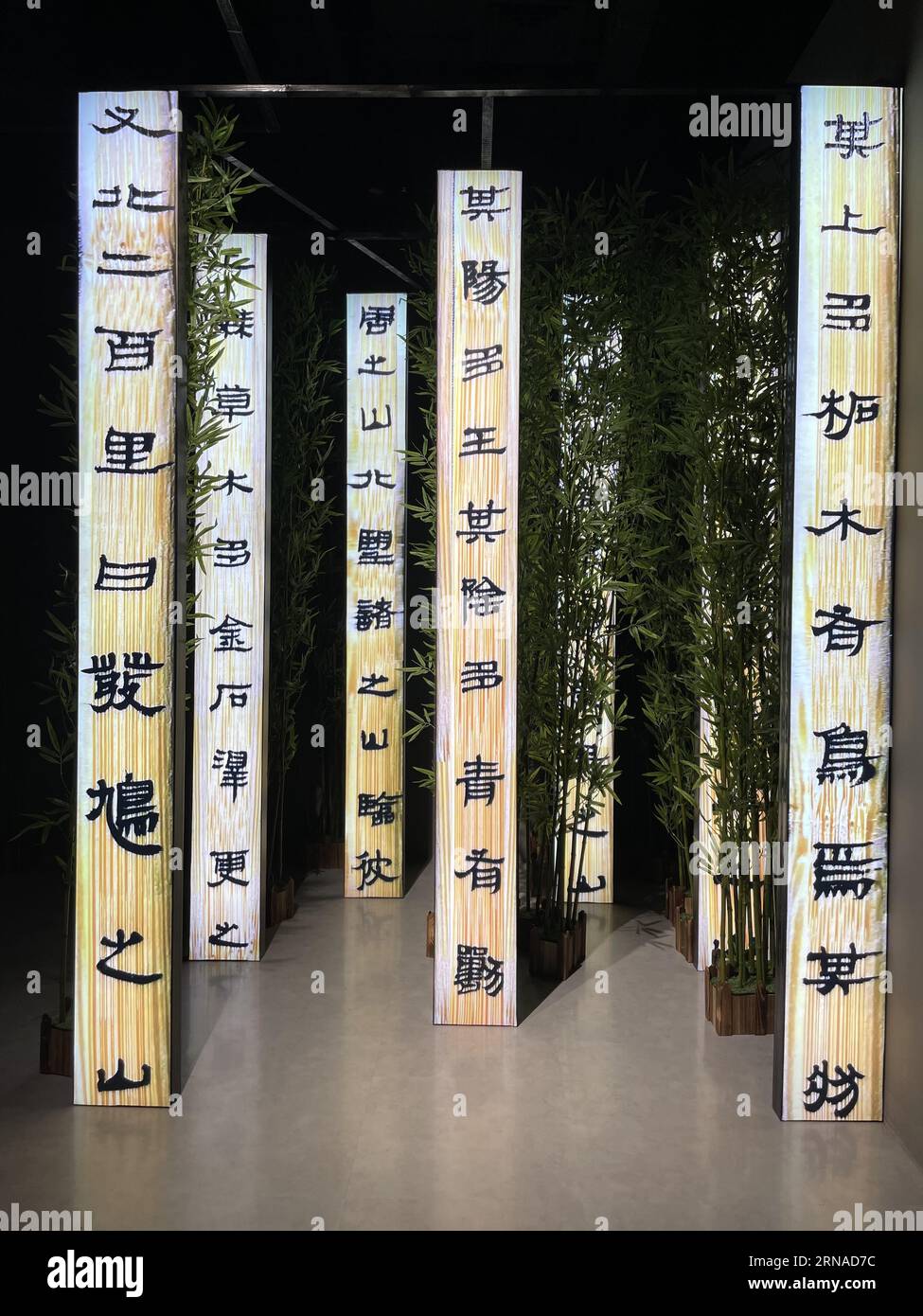 Visit an immersive art exhibition on "Shanhaijing" or "Classic of ...