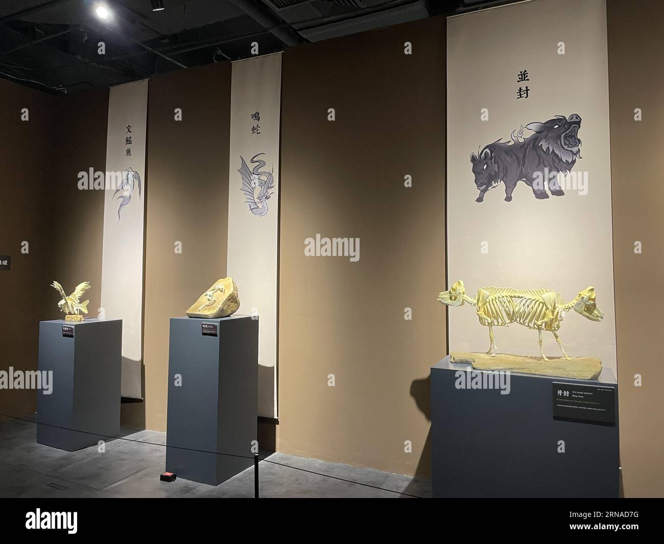 Visit an immersive art exhibition on "Shanhaijing" or "Classic of ...