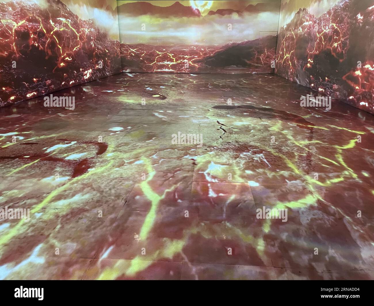 Visit an immersive art exhibition on "Shanhaijing" or "Classic of ...
