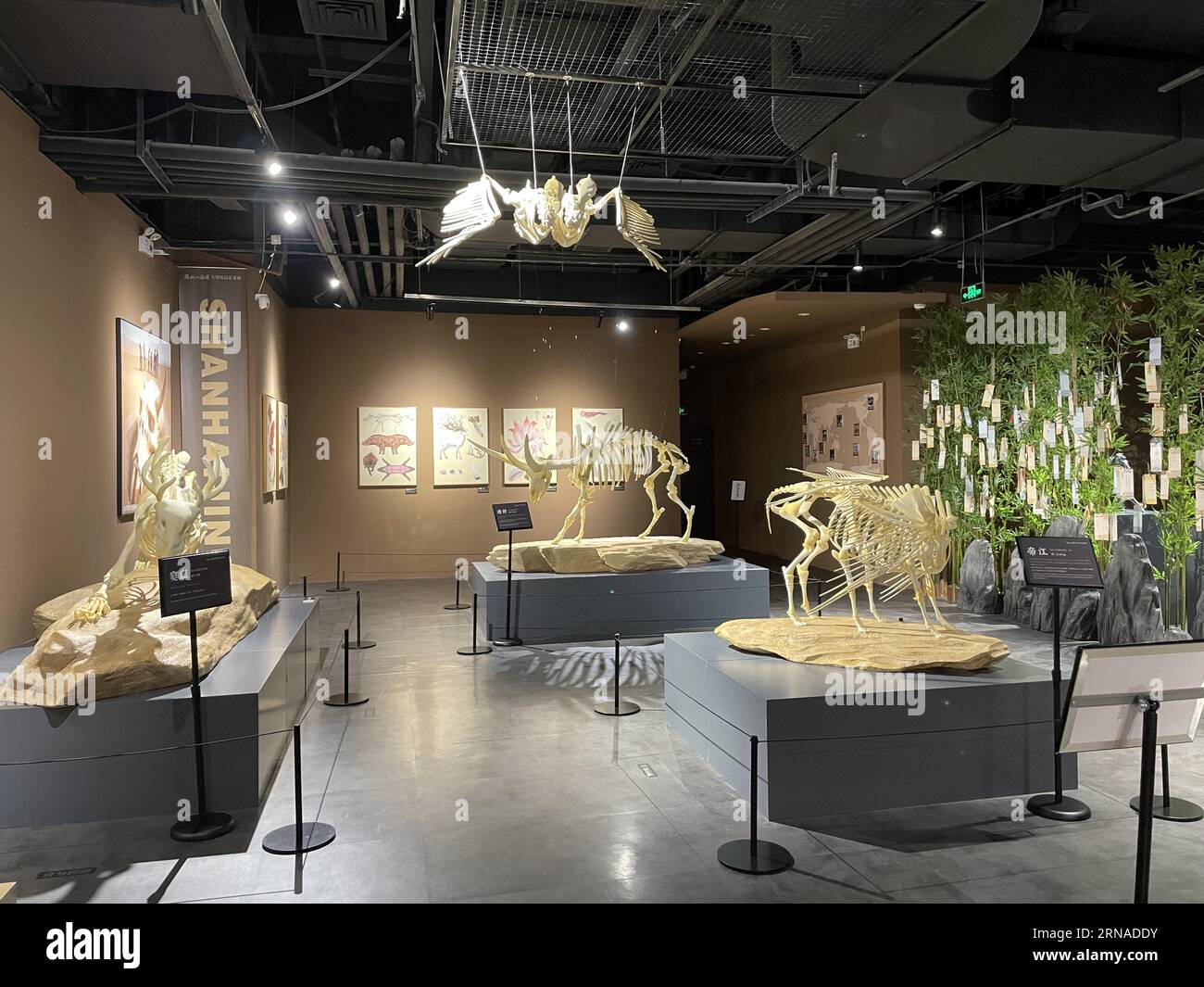 Visit an immersive art exhibition on "Shanhaijing" or "Classic of ...