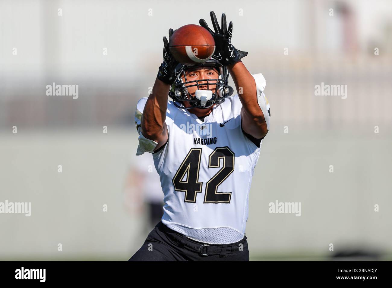 August 31, 2023:.Harding University Bison LB Kekoa Carroll (42) makes a ...