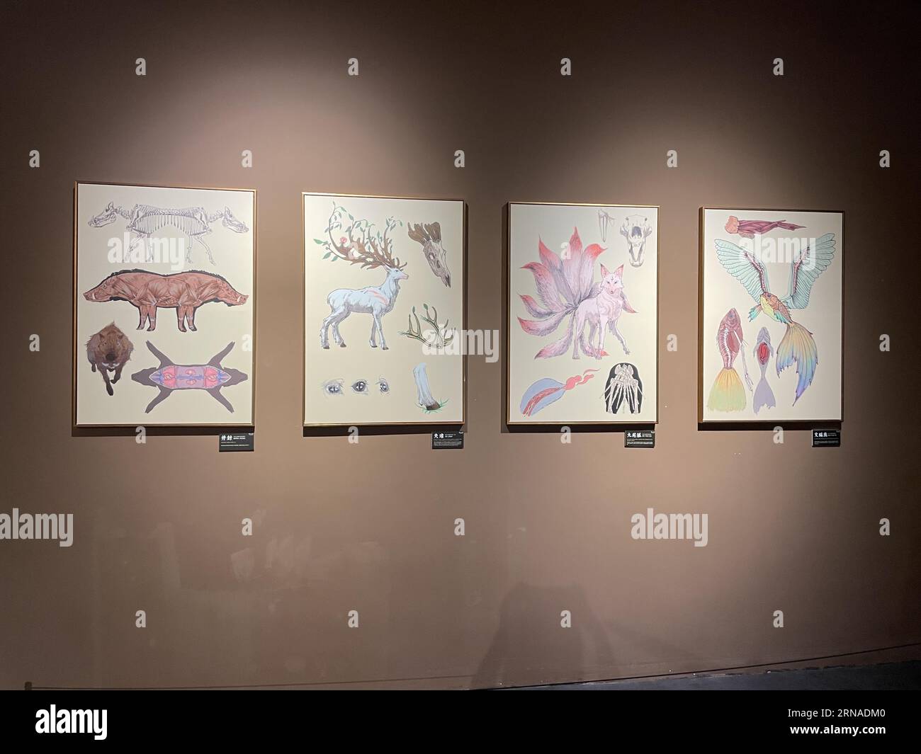 Visit an immersive art exhibition on "Shanhaijing" or "Classic of ...