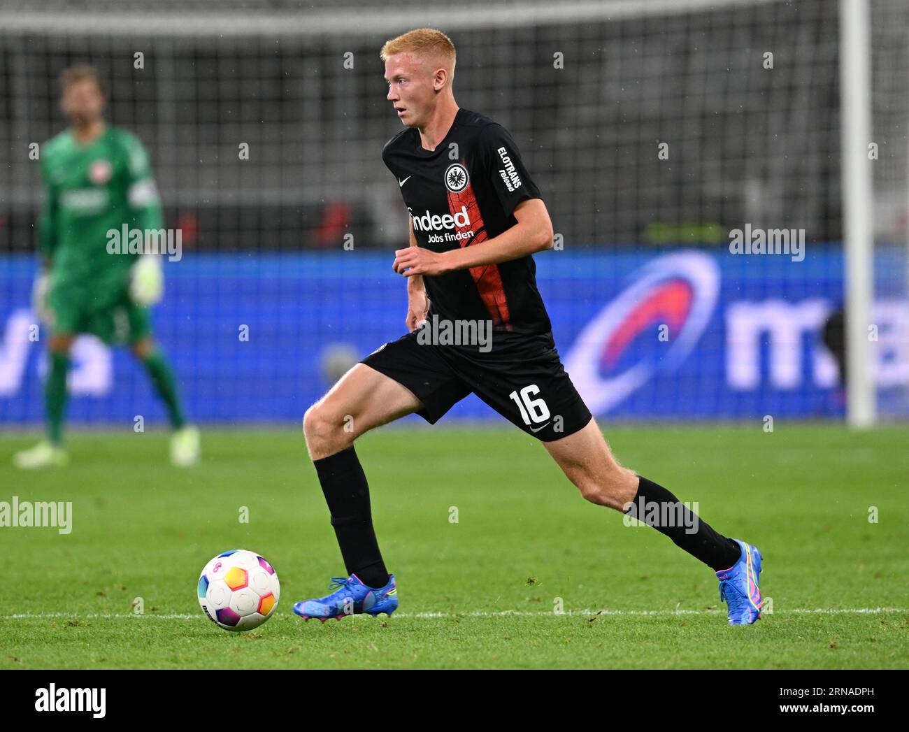 Hugo larsson hi-res stock photography and images - Alamy