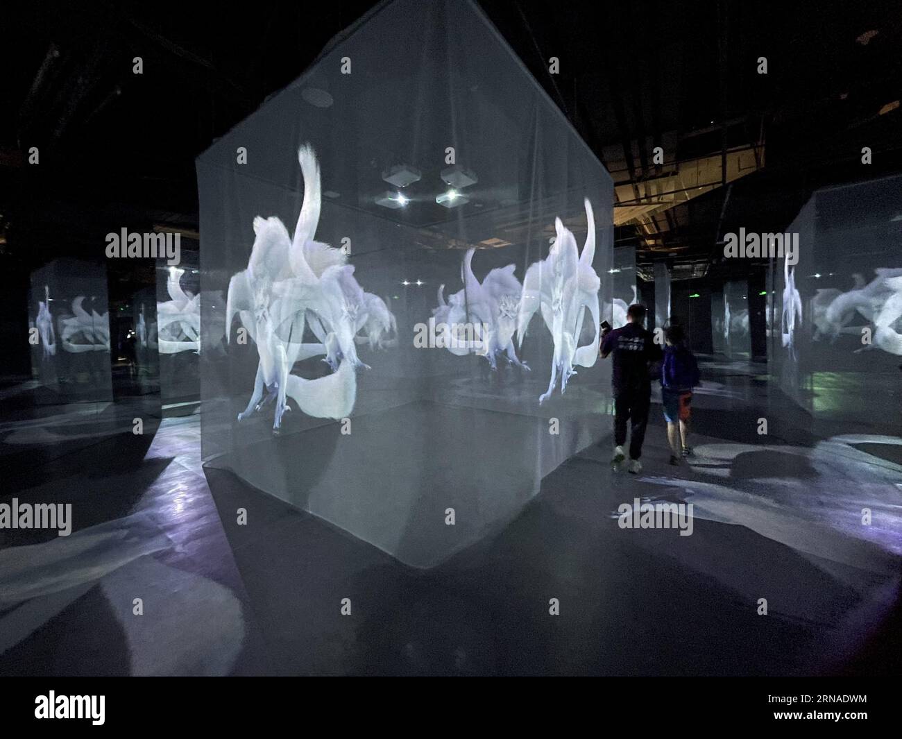 Visit an immersive art exhibition on "Shanhaijing" or "Classic of ...