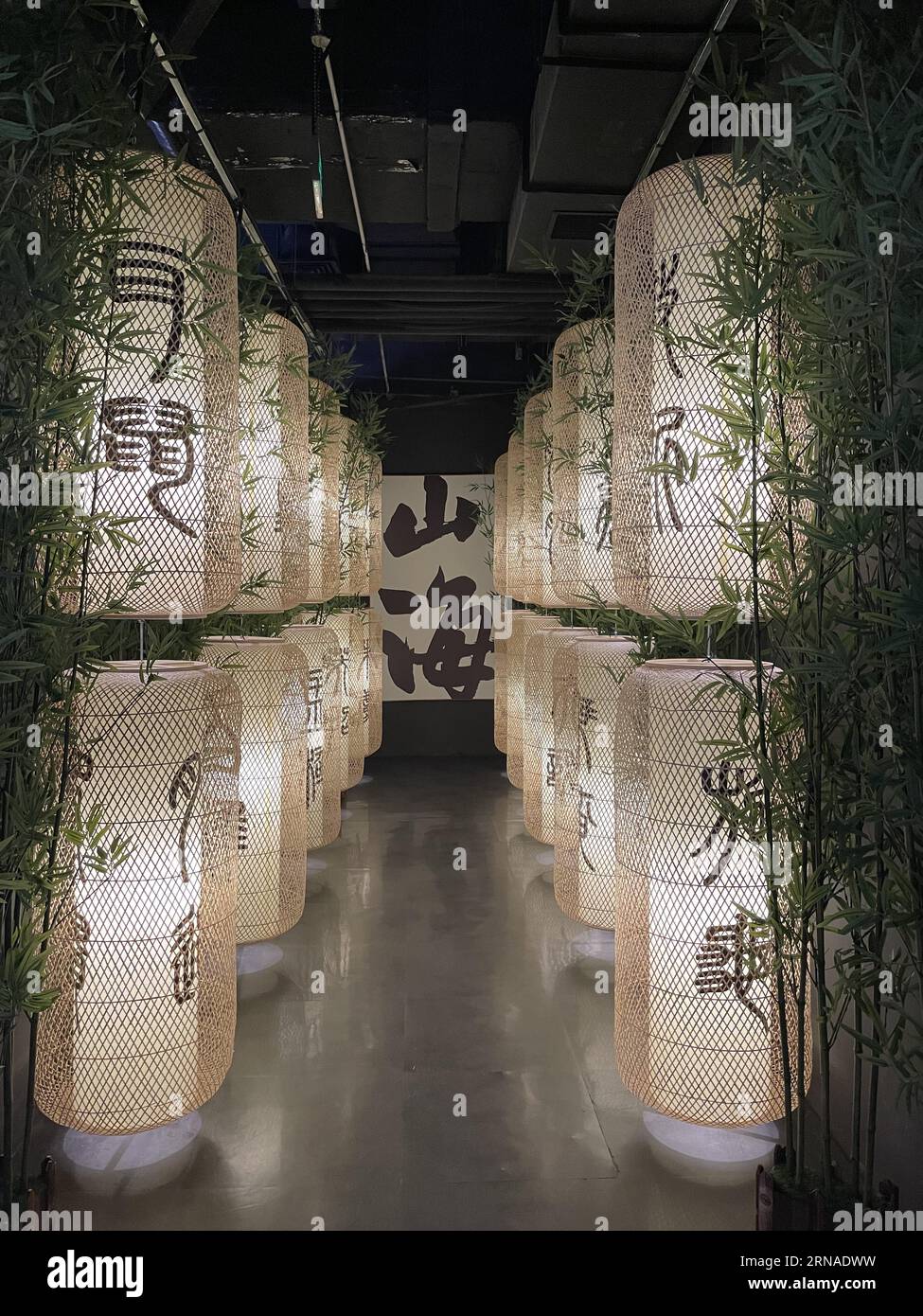 Visit an immersive art exhibition on "Shanhaijing" or "Classic of ...