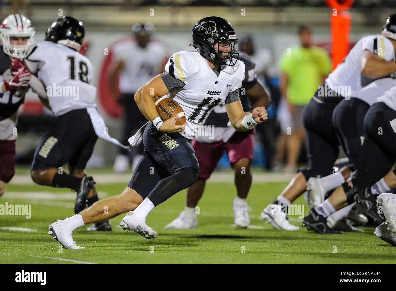 August 31, 2023:.Harding University Bison QB Tyler Ross (11) runs with ...
