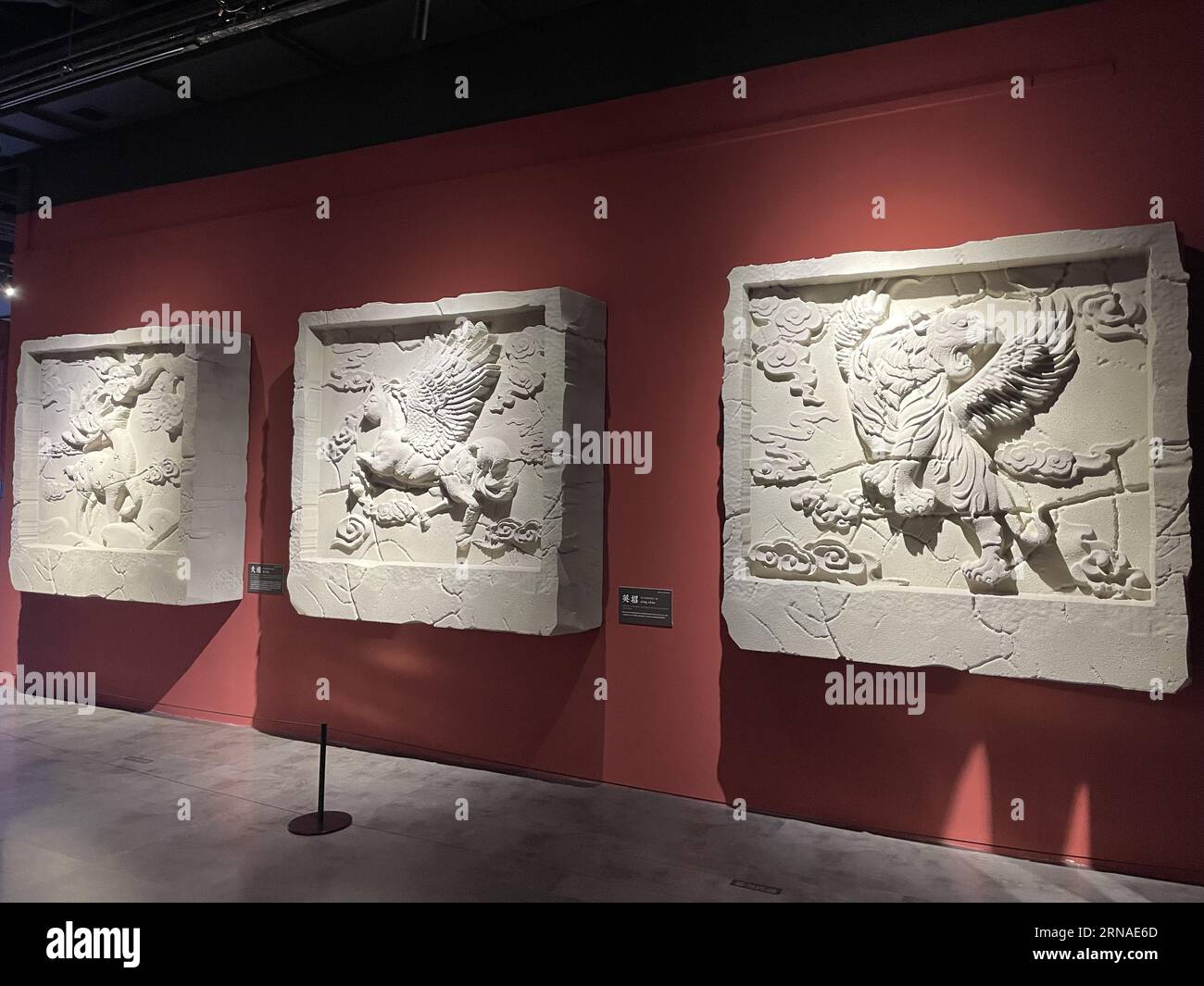 Visit an immersive art exhibition on "Shanhaijing" or "Classic of ...