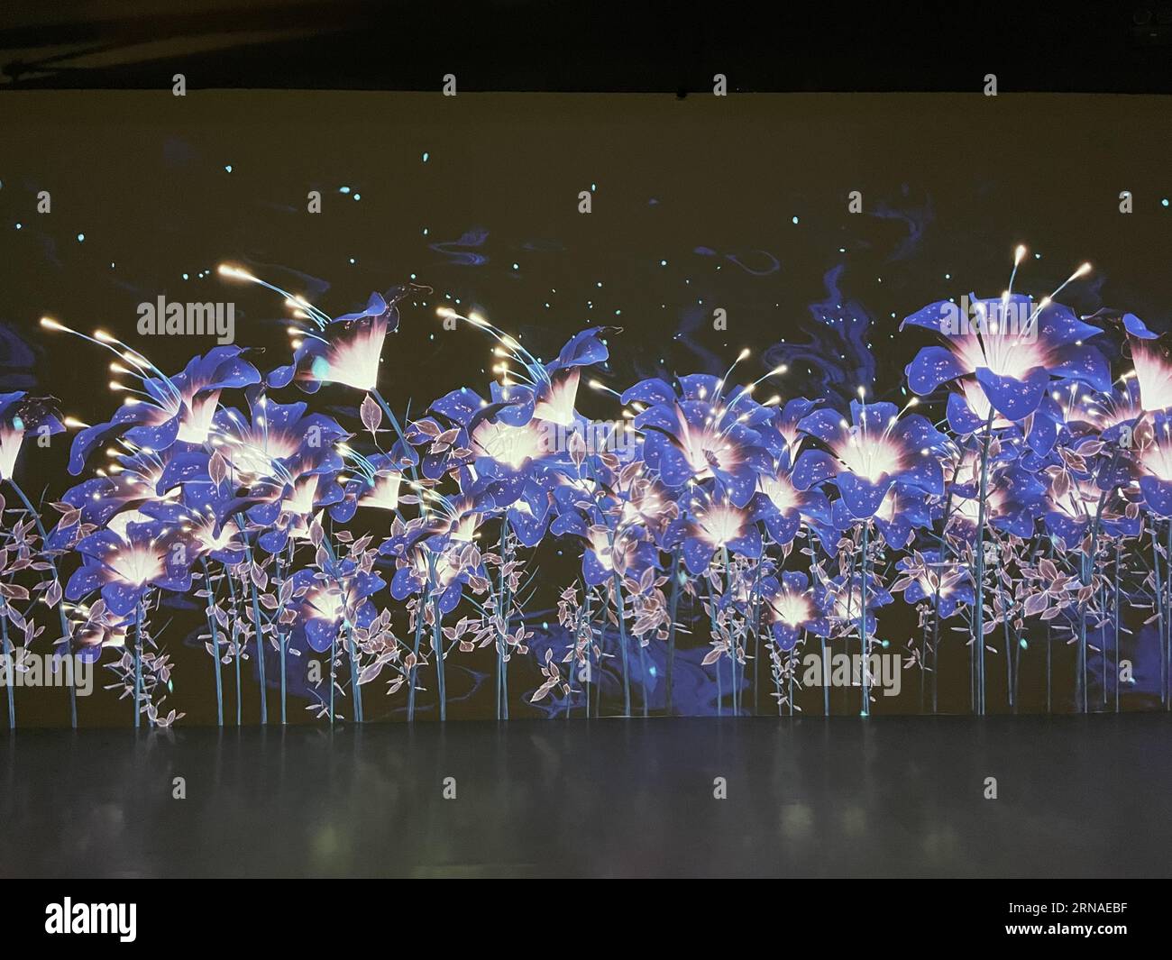 Visit an immersive art exhibition on "Shanhaijing" or "Classic of ...