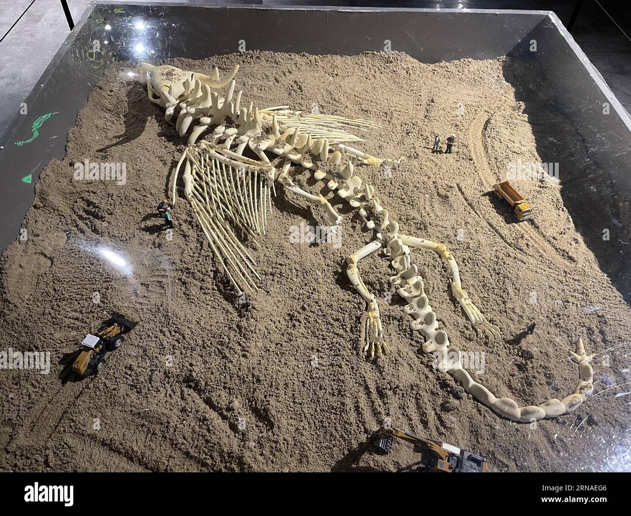 Visit an immersive art exhibition on "Shanhaijing" or "Classic of ...
