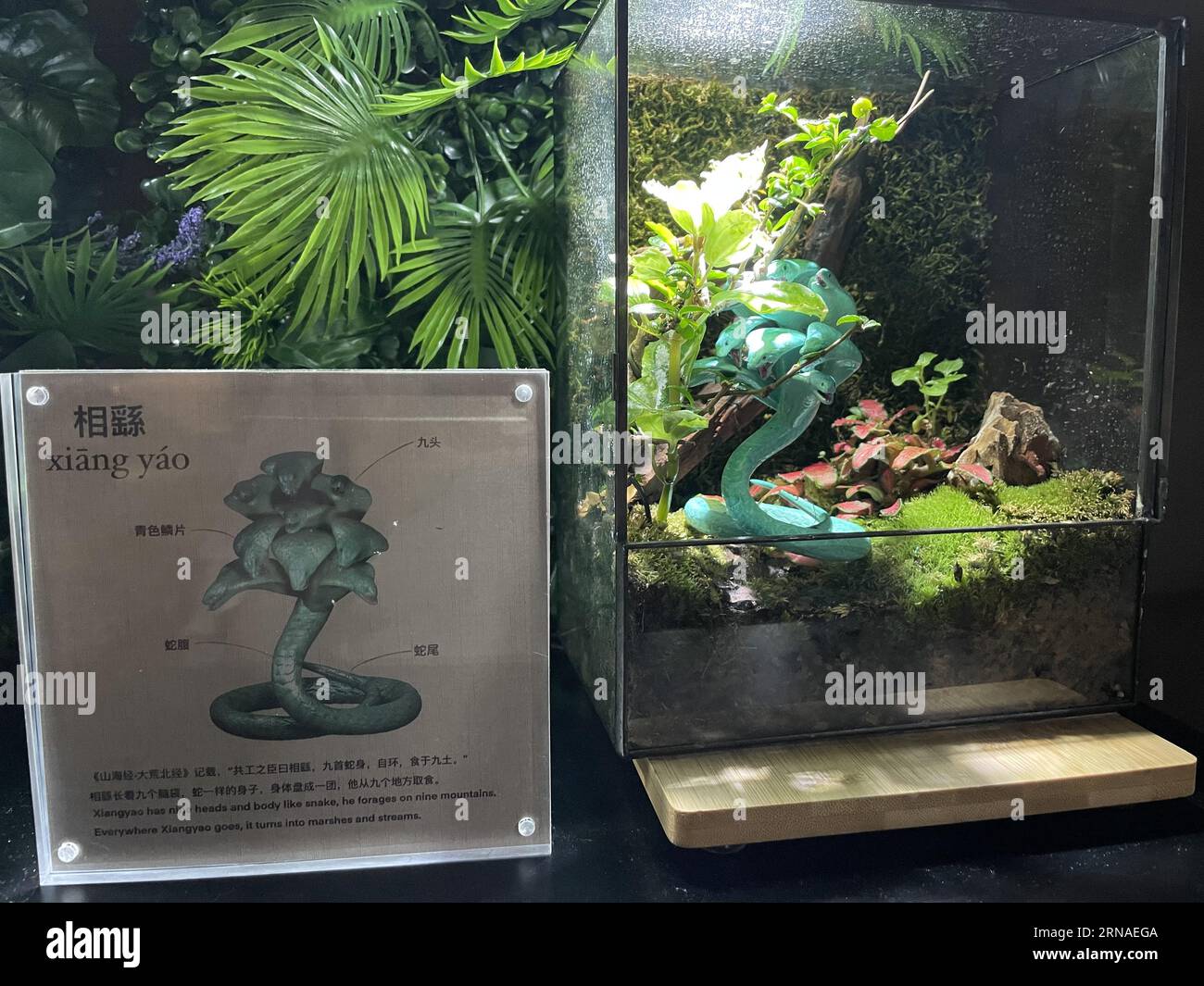 Visit an immersive art exhibition on "Shanhaijing" or "Classic of ...