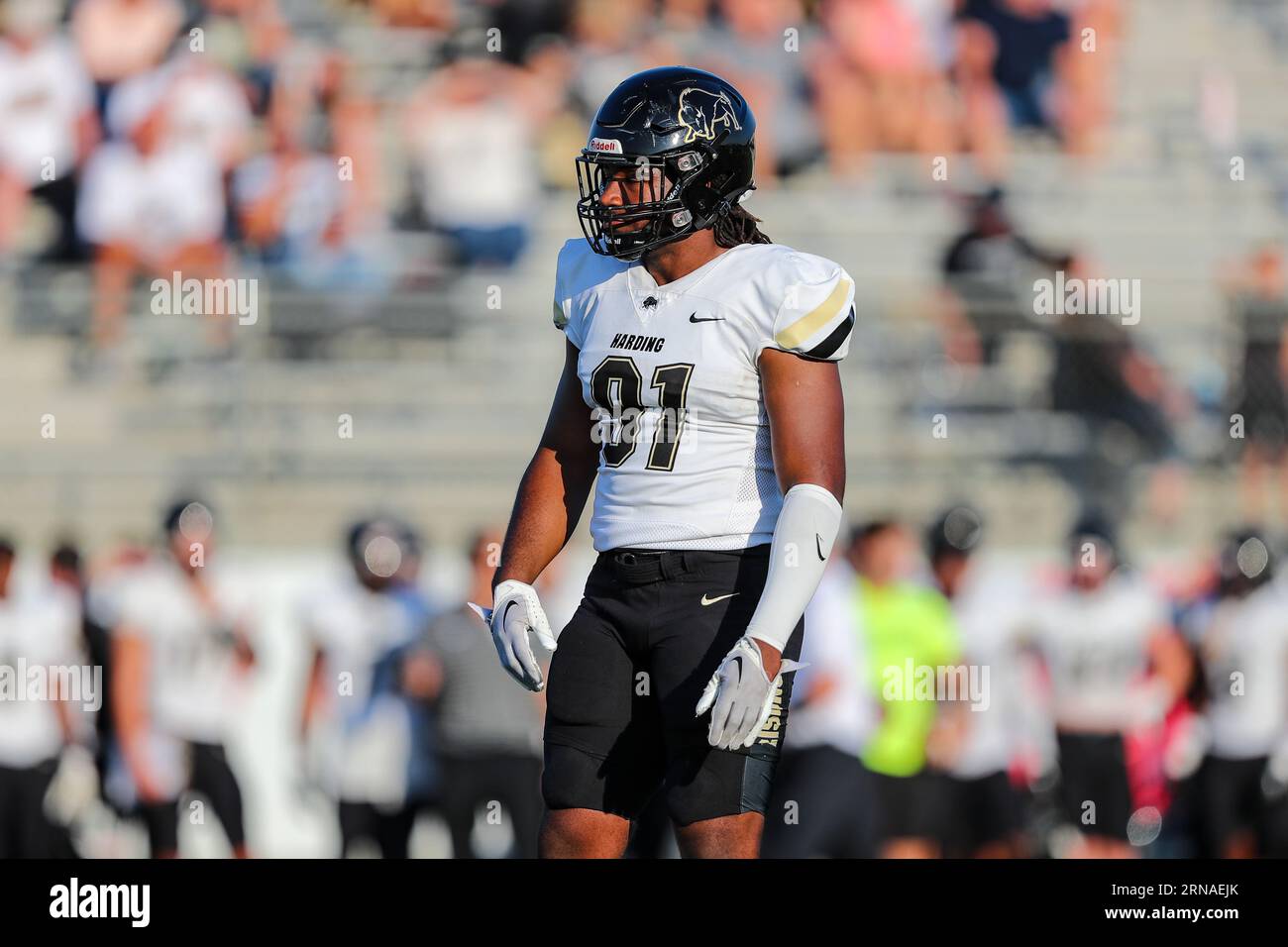 August 31, 2023:.Harding University Bison DL Tirrell Johnson (91) is ...