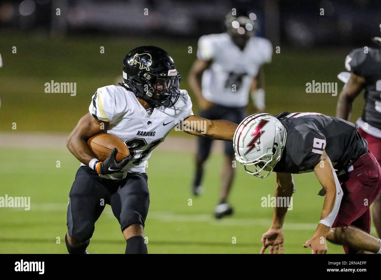 Uses of the bison hi-res stock photography and images - Alamy