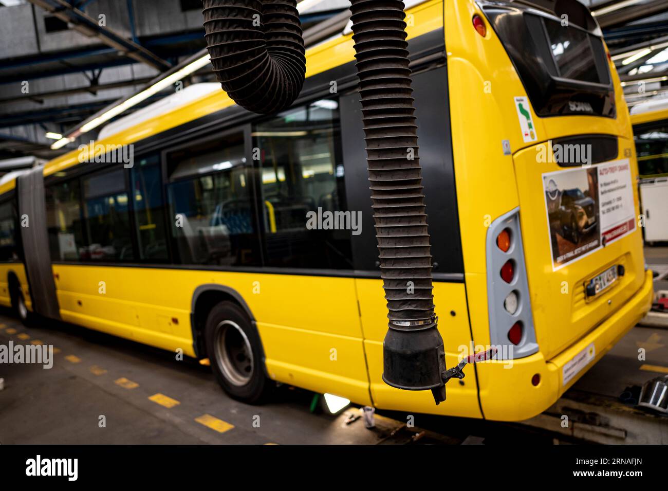 Berlin, Germany. 30th Aug, 2023. BVG buses are parked in the workshop ...
