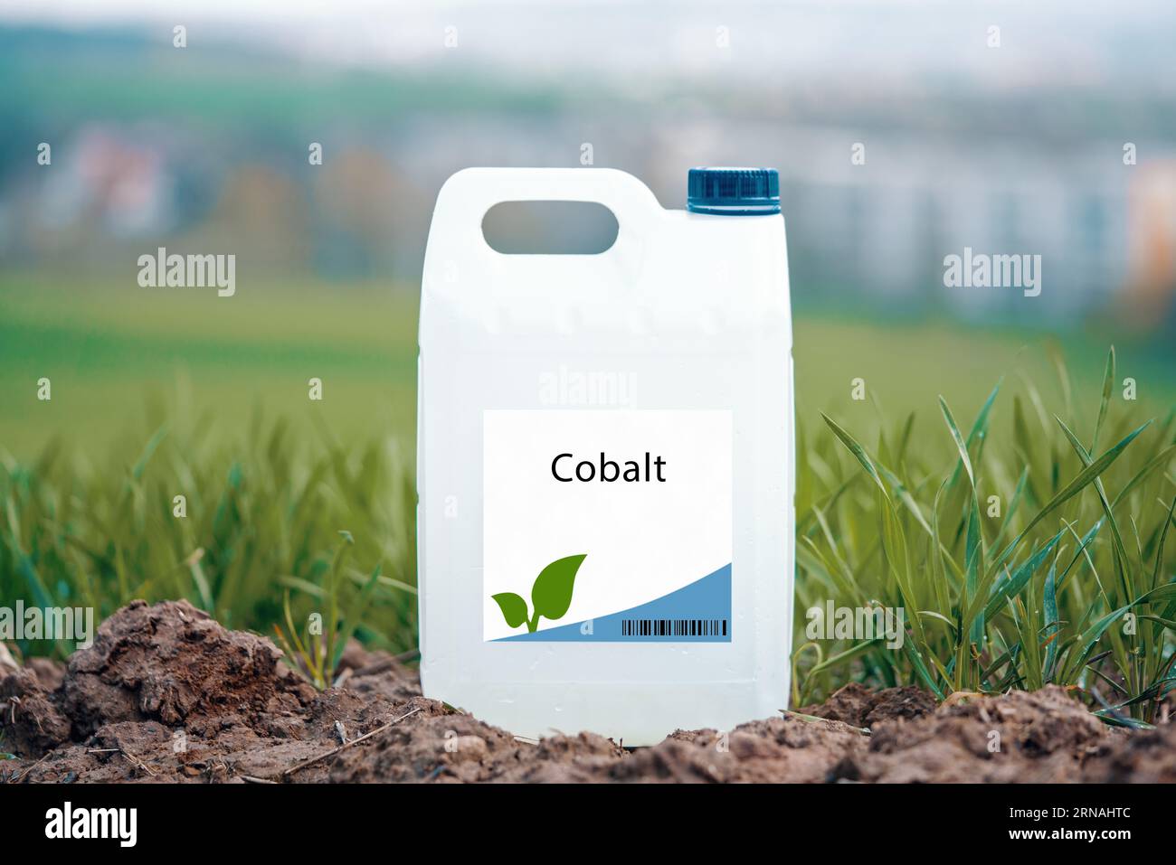 Cobalt a trace nutrient for plant growth that promotes nitrogen ...