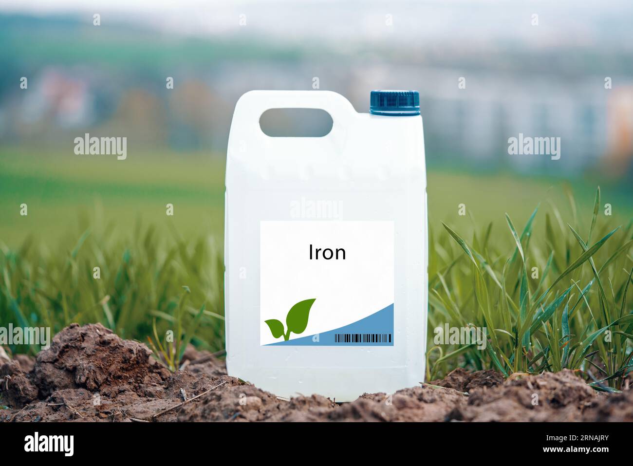 Iron an essential nutrient for plant growth that promotes chlorophyll ...