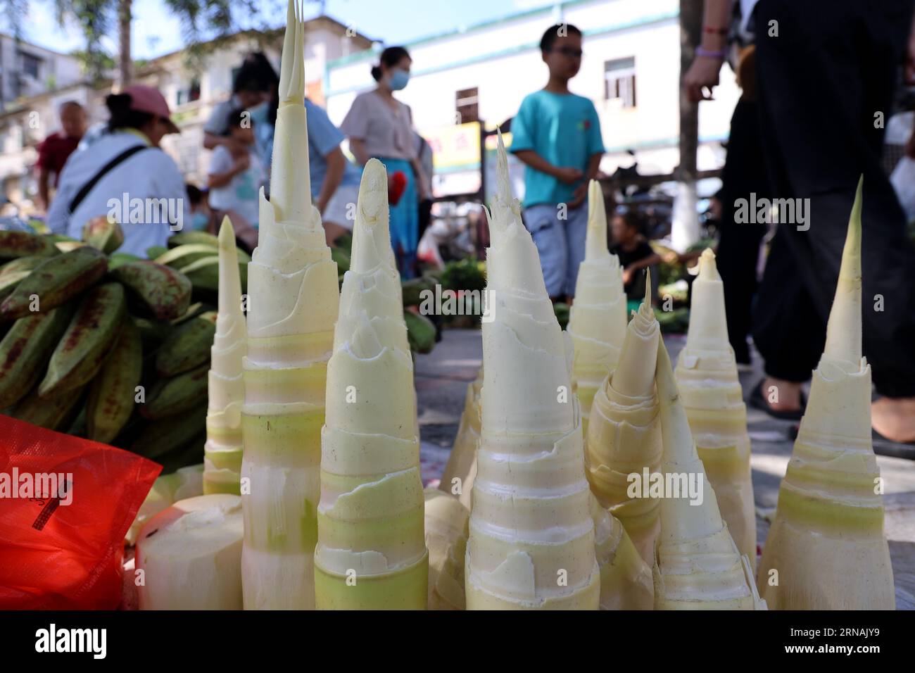People select and buy products at the Hlai market in Wuzhishan City ...