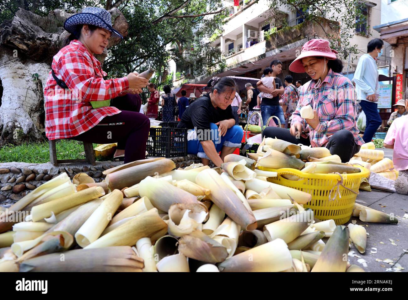 People select and buy products at the Hlai market in Wuzhishan City ...