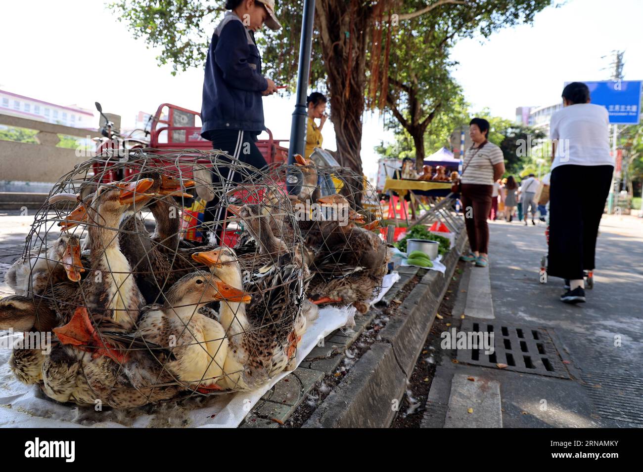 People select and buy products at the Hlai market in Wuzhishan City ...