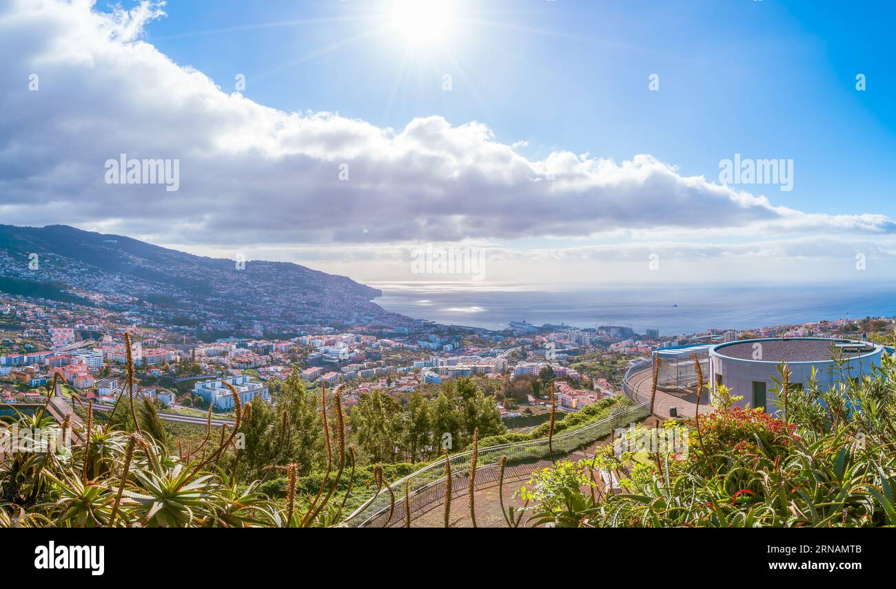 Landscape with Funchal, view from Pico dos Barcelos viewpoint, Madeira ...