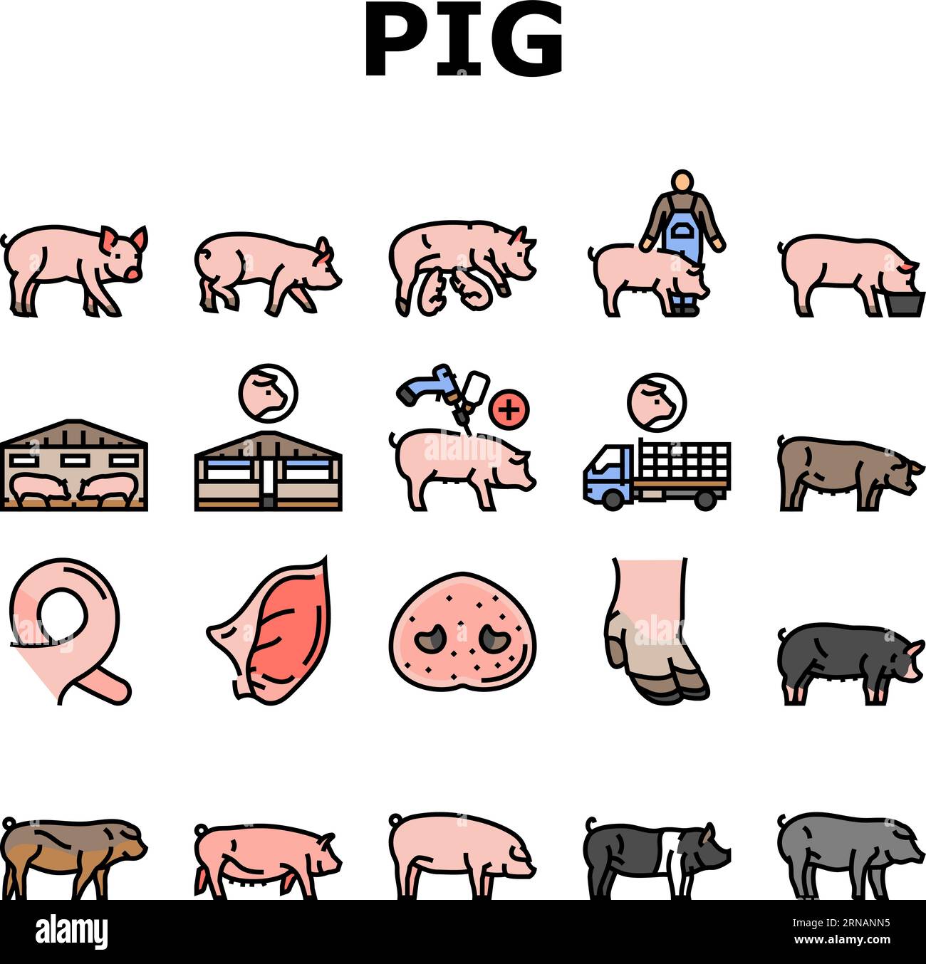 pork pig farm animal piglet hog icons set vector Stock Vector Image ...