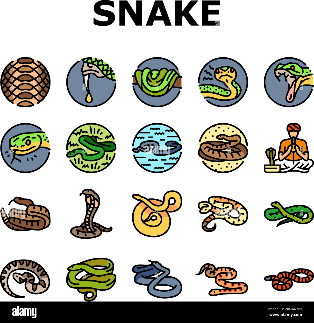 snake black serpent viper cobra icons set vector Stock Vector Image & Art - Alamy