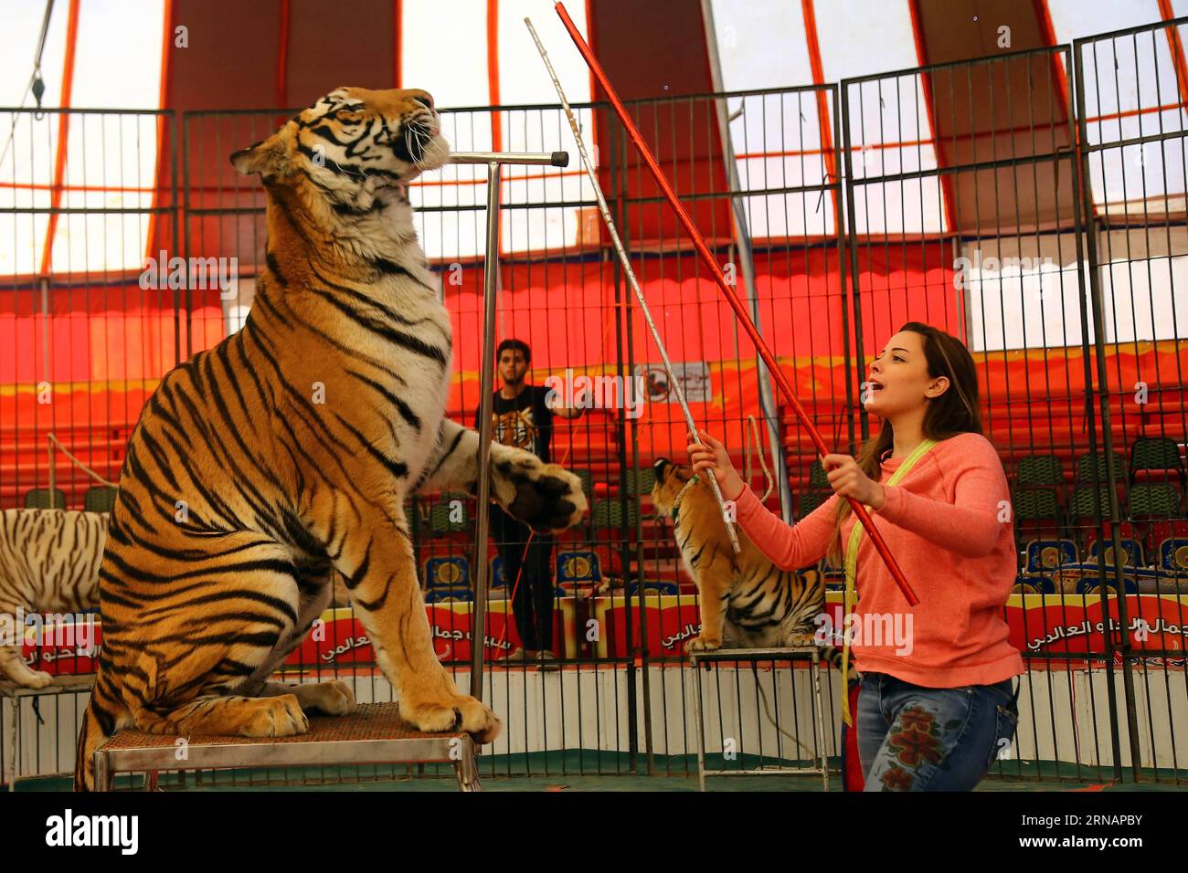 Female beast hi-res stock photography and images - Alamy